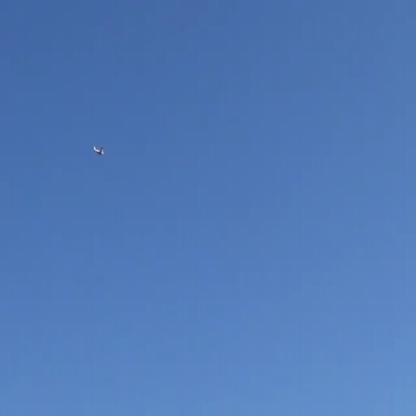 Birds, Planes, Drones Detector Object Detection Dataset and Pre-Trained Model by singhania