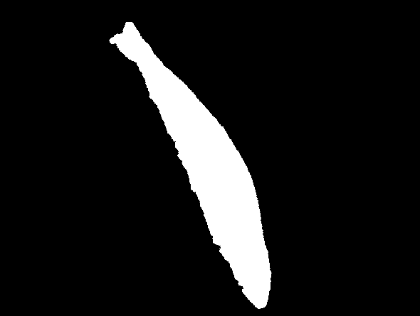 Fish Classification Classification Model By Coralreef