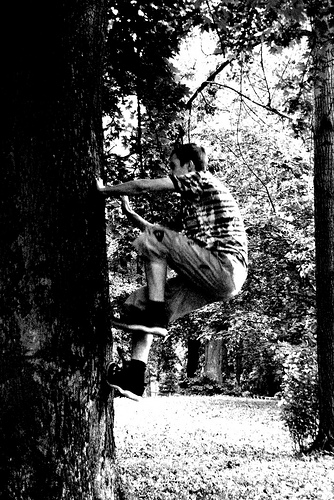 LSP for Yolov8 Object Detection Dataset by NaghamXD