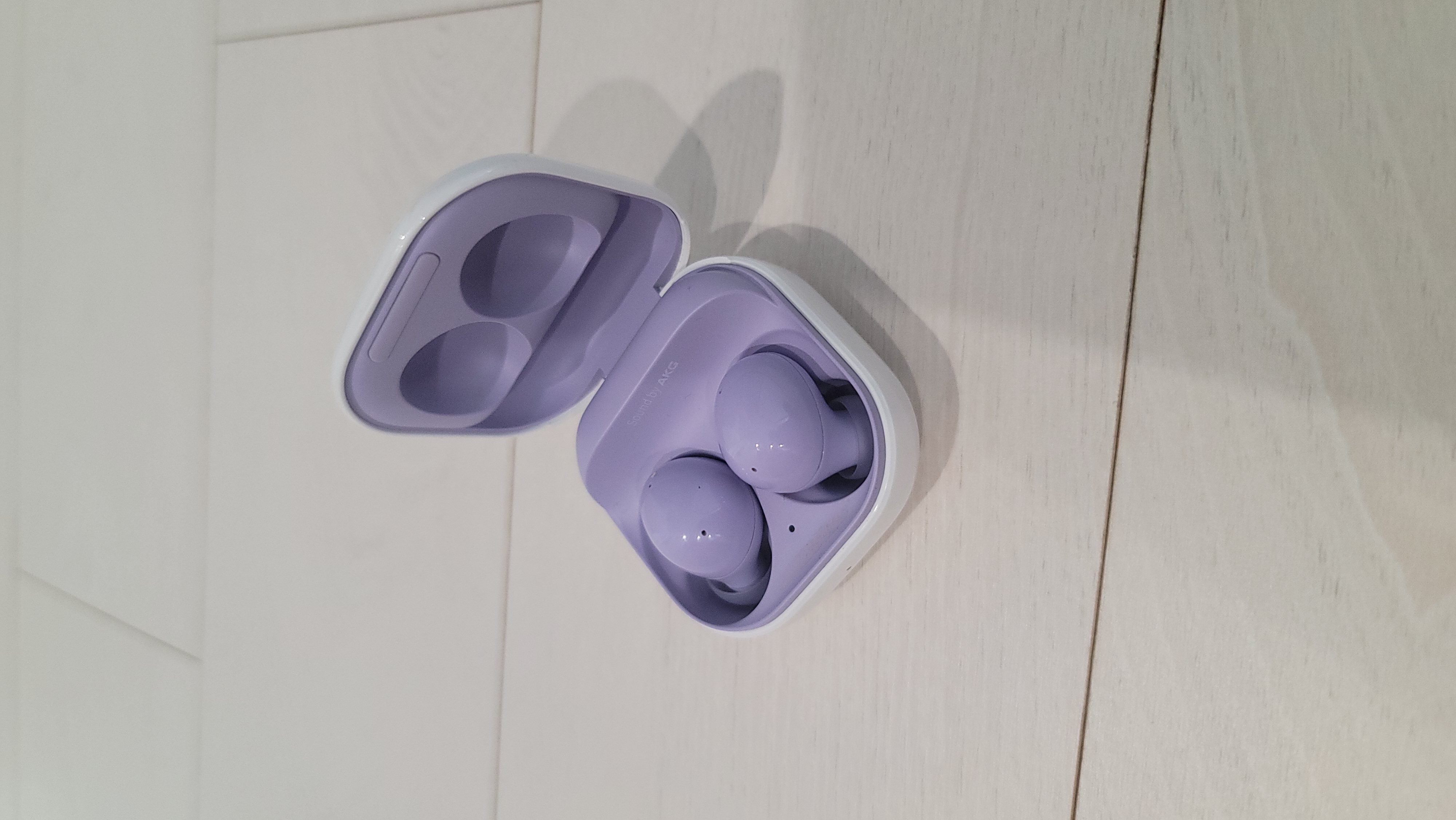 buds Object Detection Model by SweetPotato