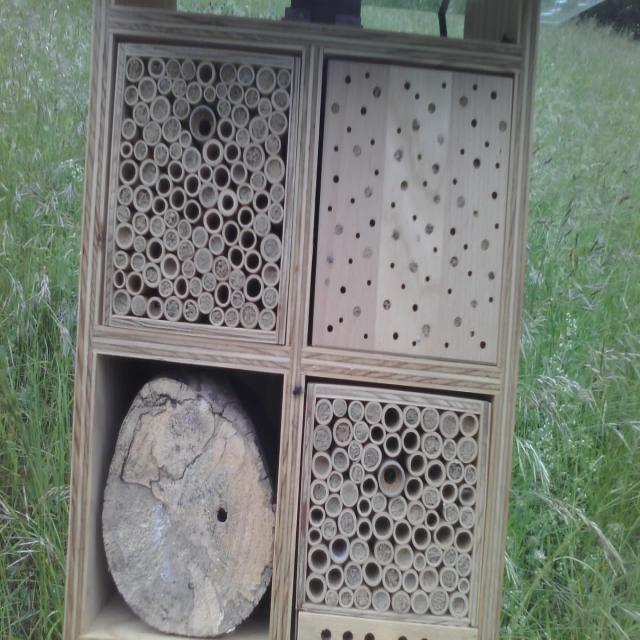 Beehive Classification Model by Jayanthi