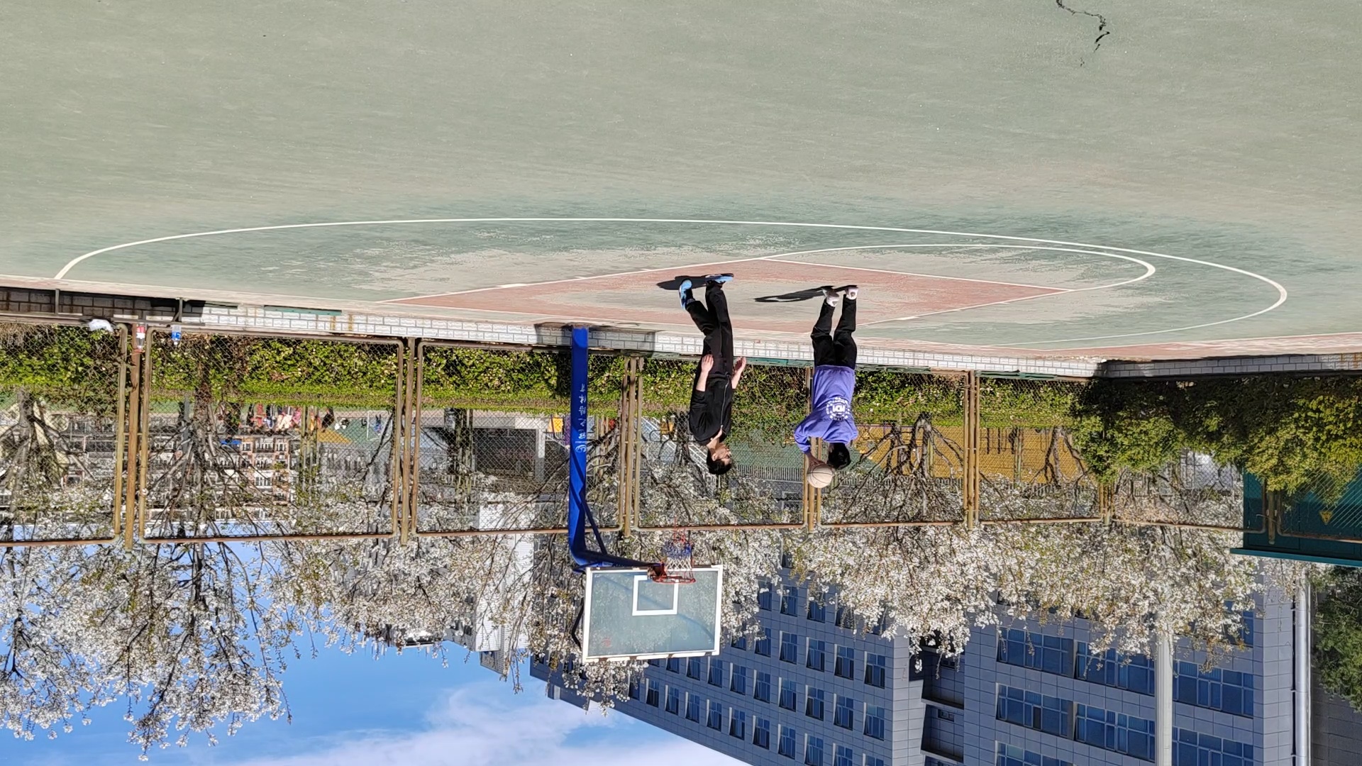 Basketball Detection Object Detection Dataset By Xsc