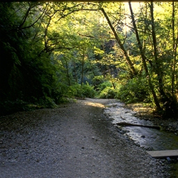 Forest fire detection Object Detection Dataset and Pre-Trained Model by ...