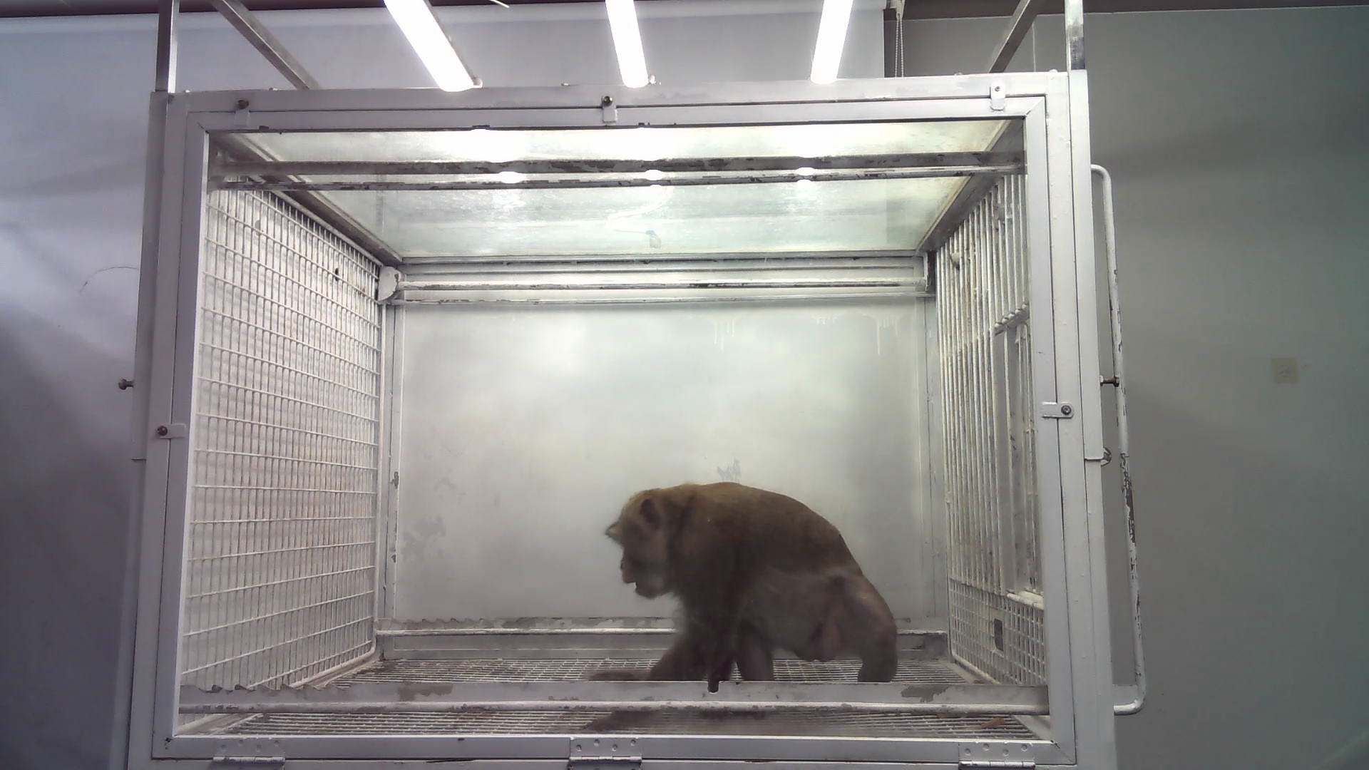 mk-whole Object Detection Dataset by project-crv8v