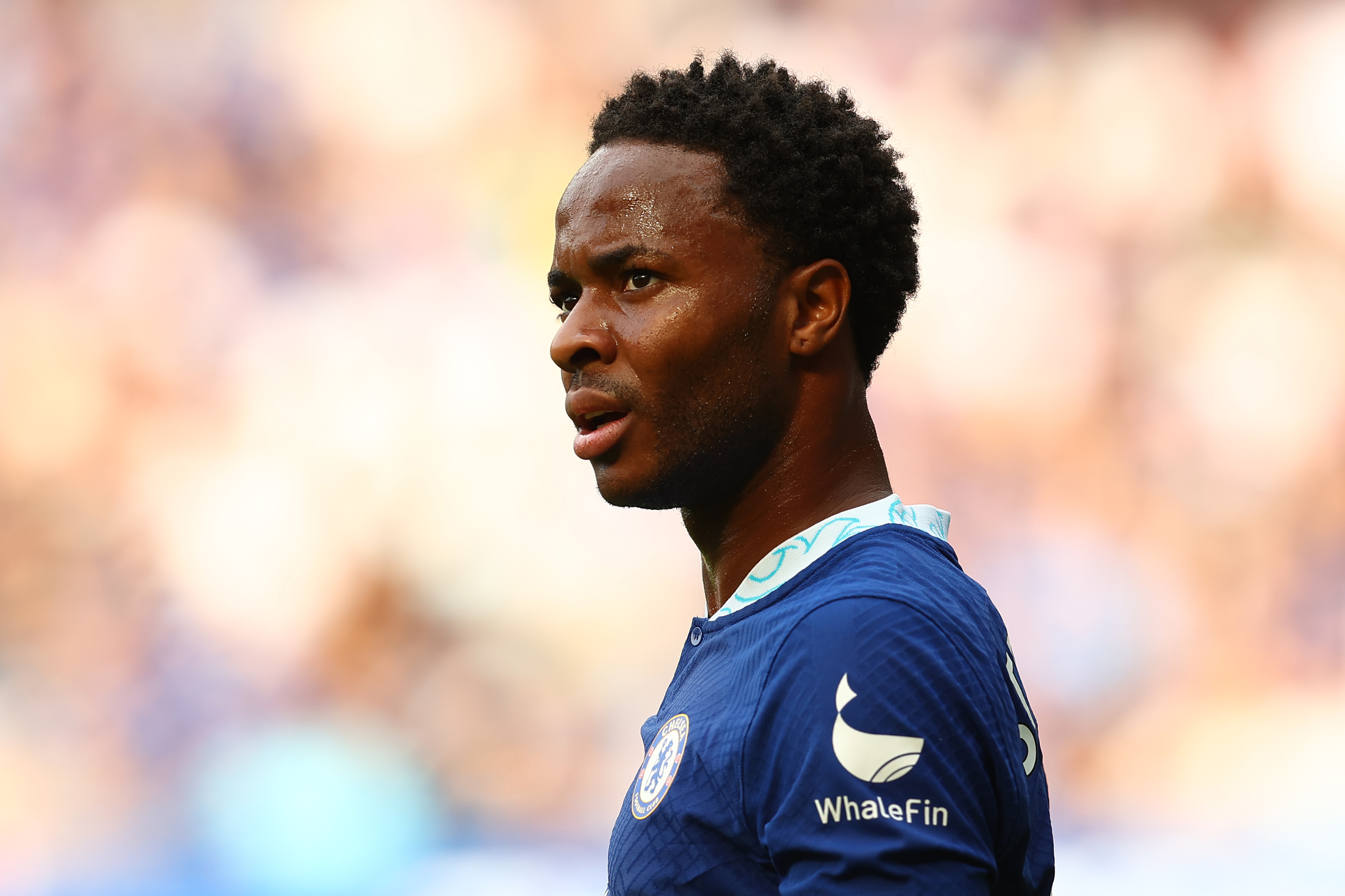 Siddharth Dataset Object Detection Model By Siddharthworkspace