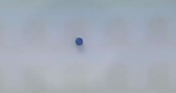 Ball Detect Object Detection Model by ViZO