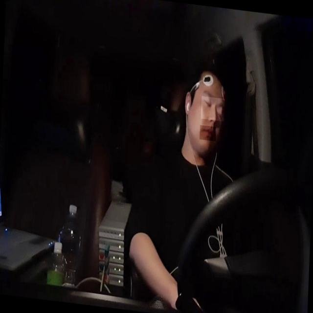 eye-mouth Instance Segmentation Dataset by computer vision