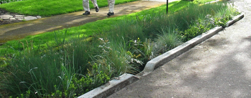 AI Morgan - Roboflow Universe