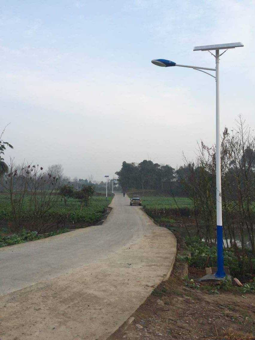 roadlightModel Instance Segmentation Dataset by YOLOv8Seg