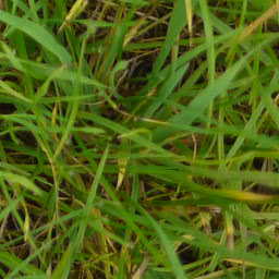 How to Use the grass3 Object Detection API