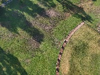 Team Rocket Roboflow Universe