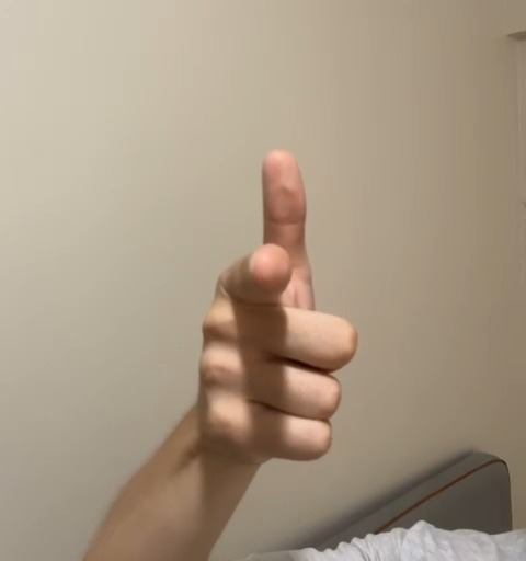 bbb Object Detection Dataset by Deneme