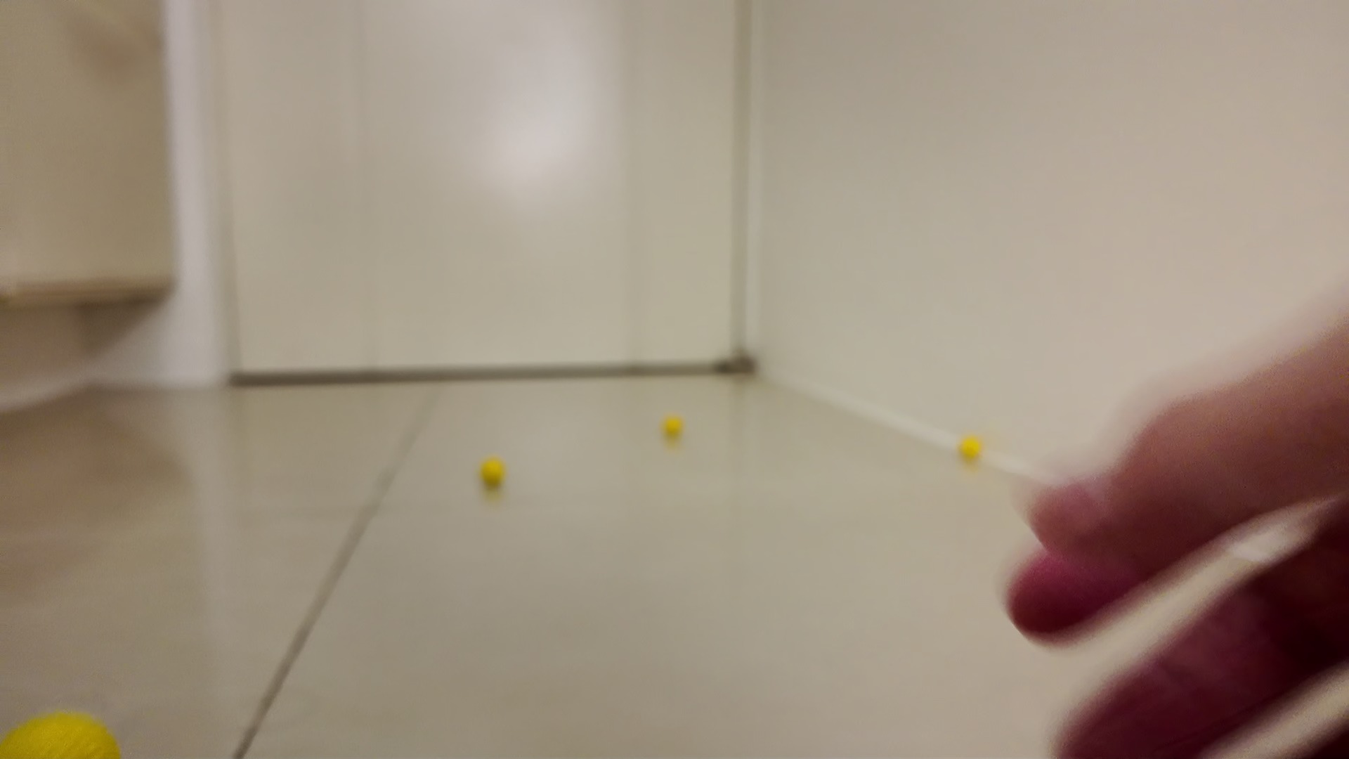 How to Use the Small_Ball_Capture Object Detection API