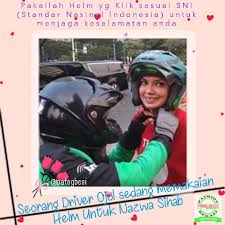 helm Object Detection Dataset by Dataset