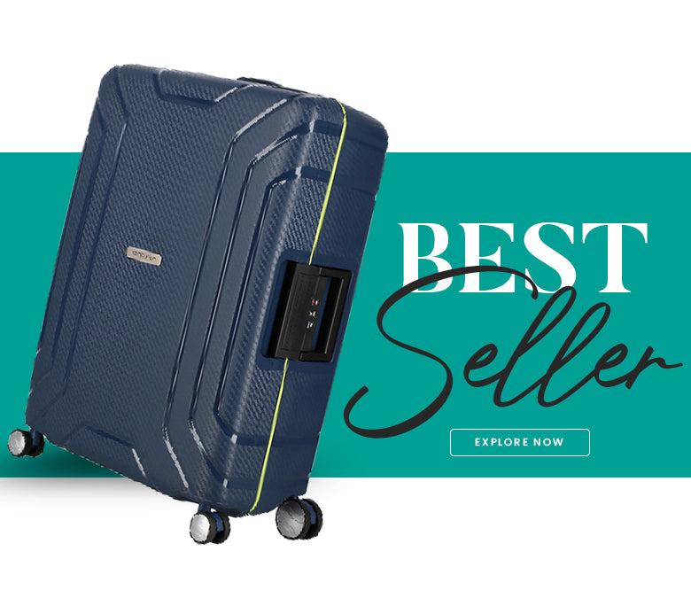 Person and luggage Object Detection Model (v2, coco classes- person ...