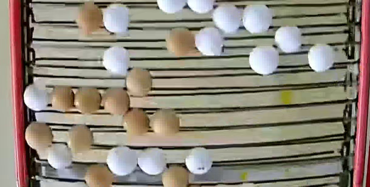 2025-roboflow-03 Instance Segmentation Model by 2025roboflow03