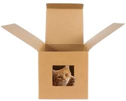 plastic segregation Object Detection Model by plastic segregation