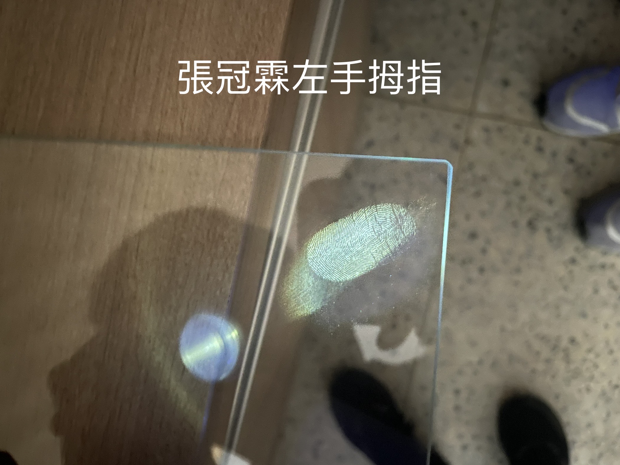 Fingerprint (fingerprint-ruqj0) - Roboflow Universe