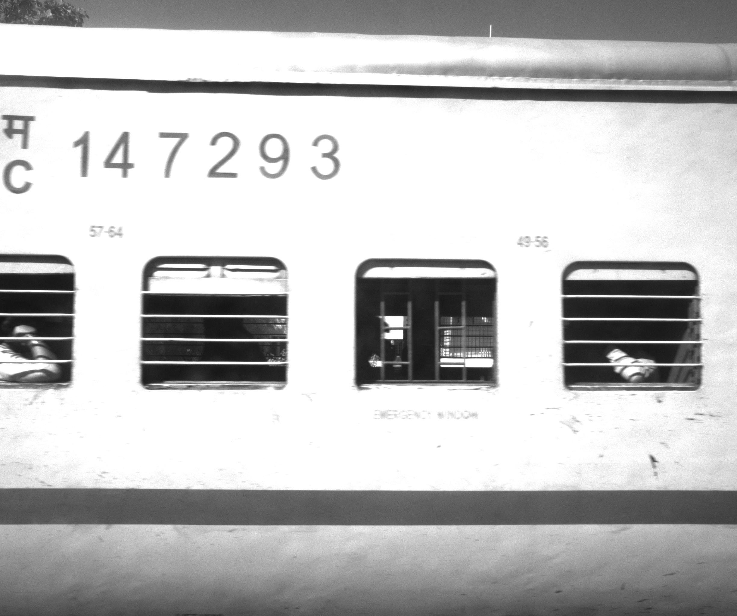 Fwild_new Object Detection Dataset by wild ocr