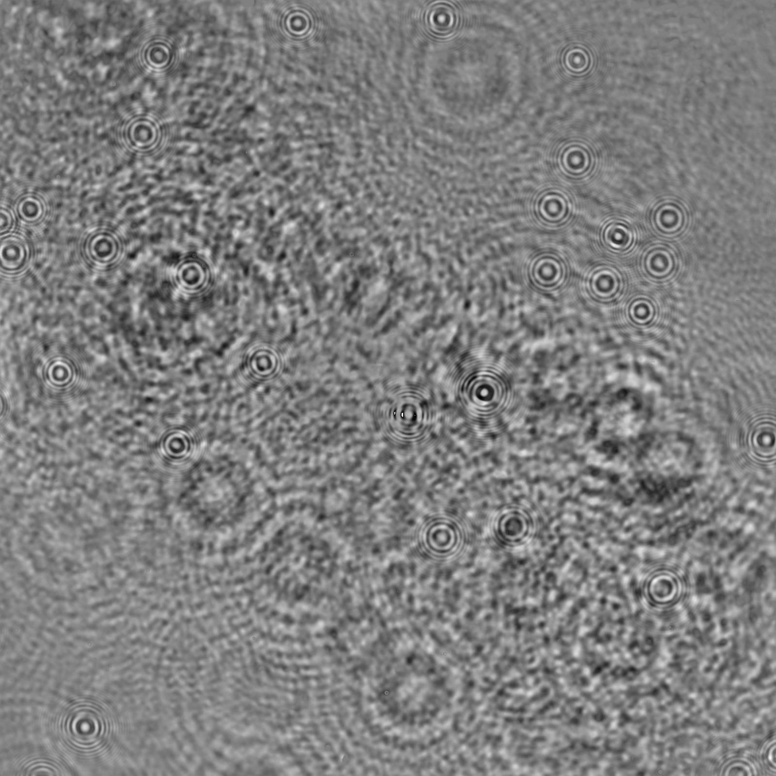 MT Object Detection Model by Unimib