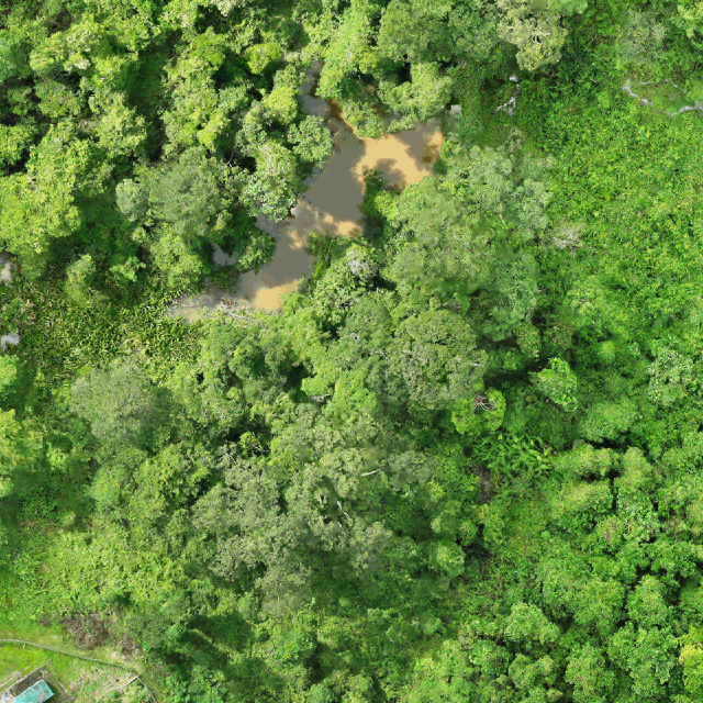 Yolo Deep Learning Instance Segmentation Dataset By Yolo Deep Learning