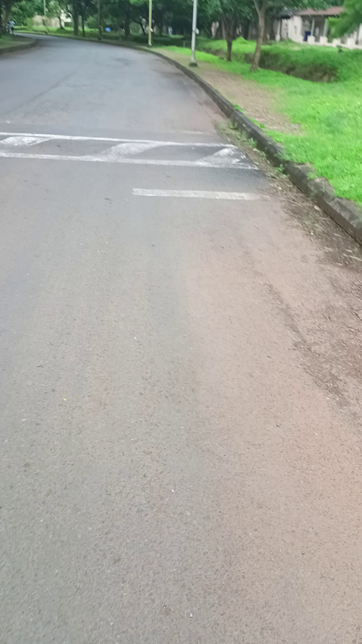 bits-vertical-road Object Detection Dataset by bitsroadimagesegmentation