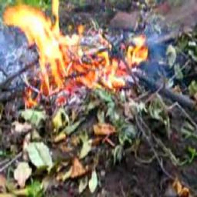 fire-smoke-detection Object Detection Dataset (v1, Smoke-Fire Detection) by RR