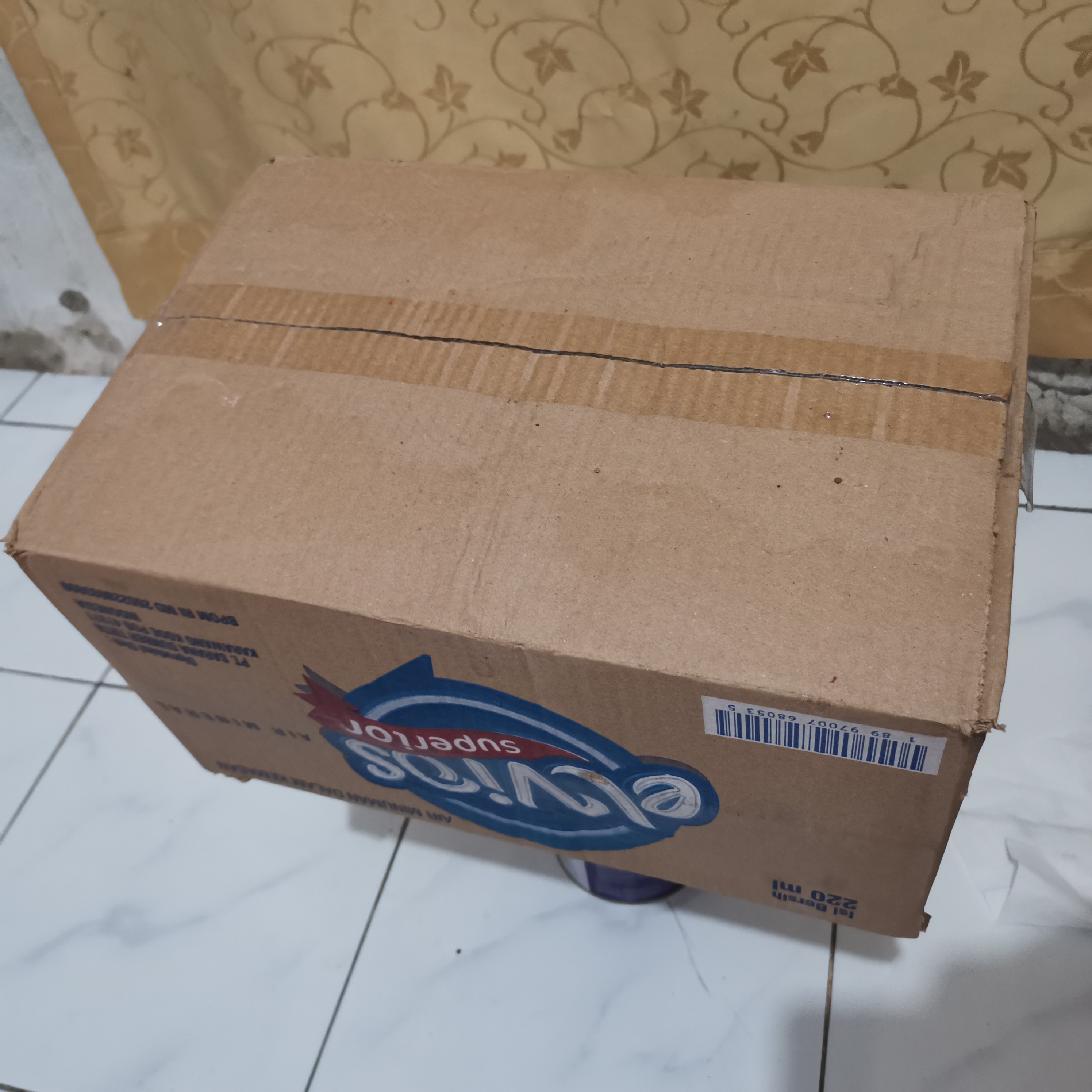 Deteksi Karton Instance Segmentation Dataset by setupdeteksigelembung