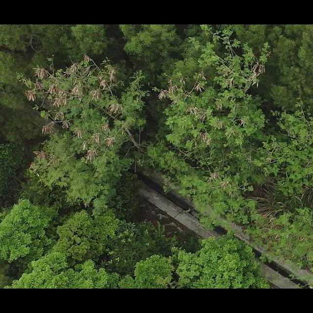 final Object Detection Dataset by test