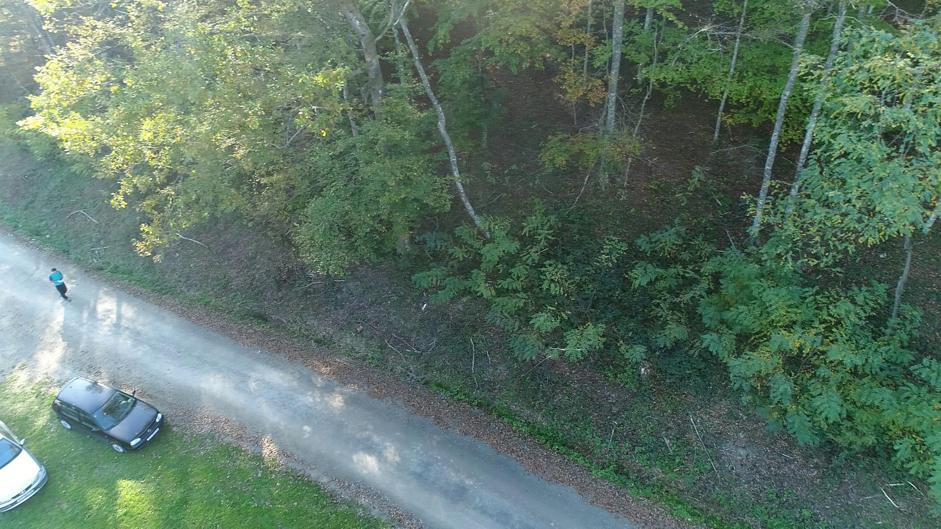 hum Object Detection Dataset by test