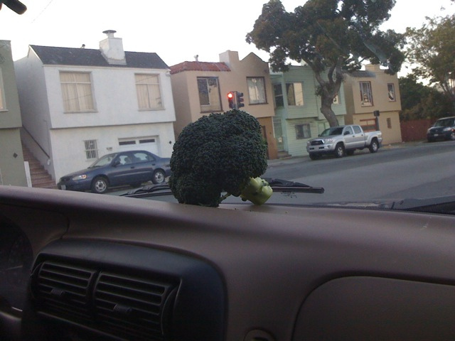 pp22 Object Detection Dataset by new-workspace-ysbap