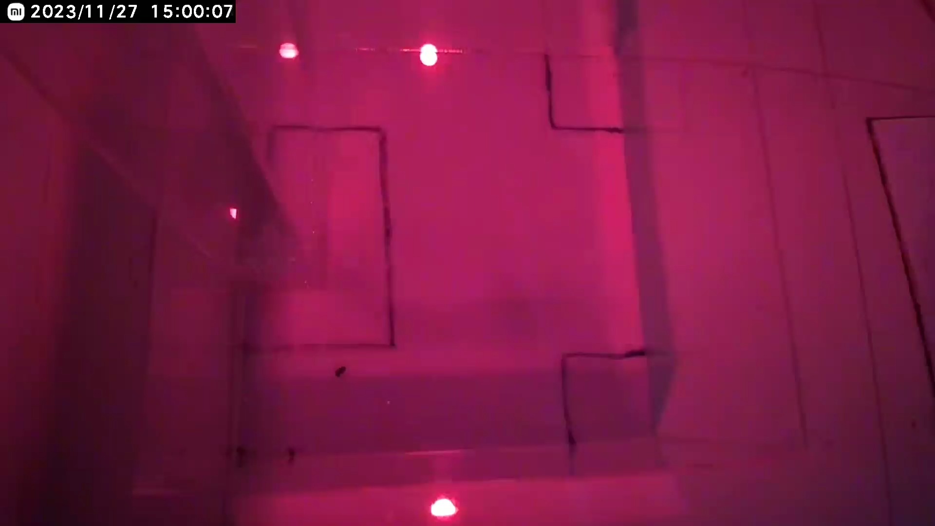 Mouse Detection Object Detection Dataset And Pre Trained Model By Harsya 