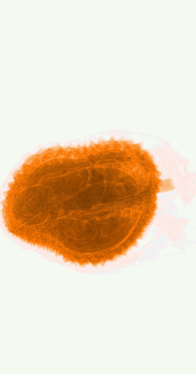 Durian_class Semantic Segmentation Model by SegDurian