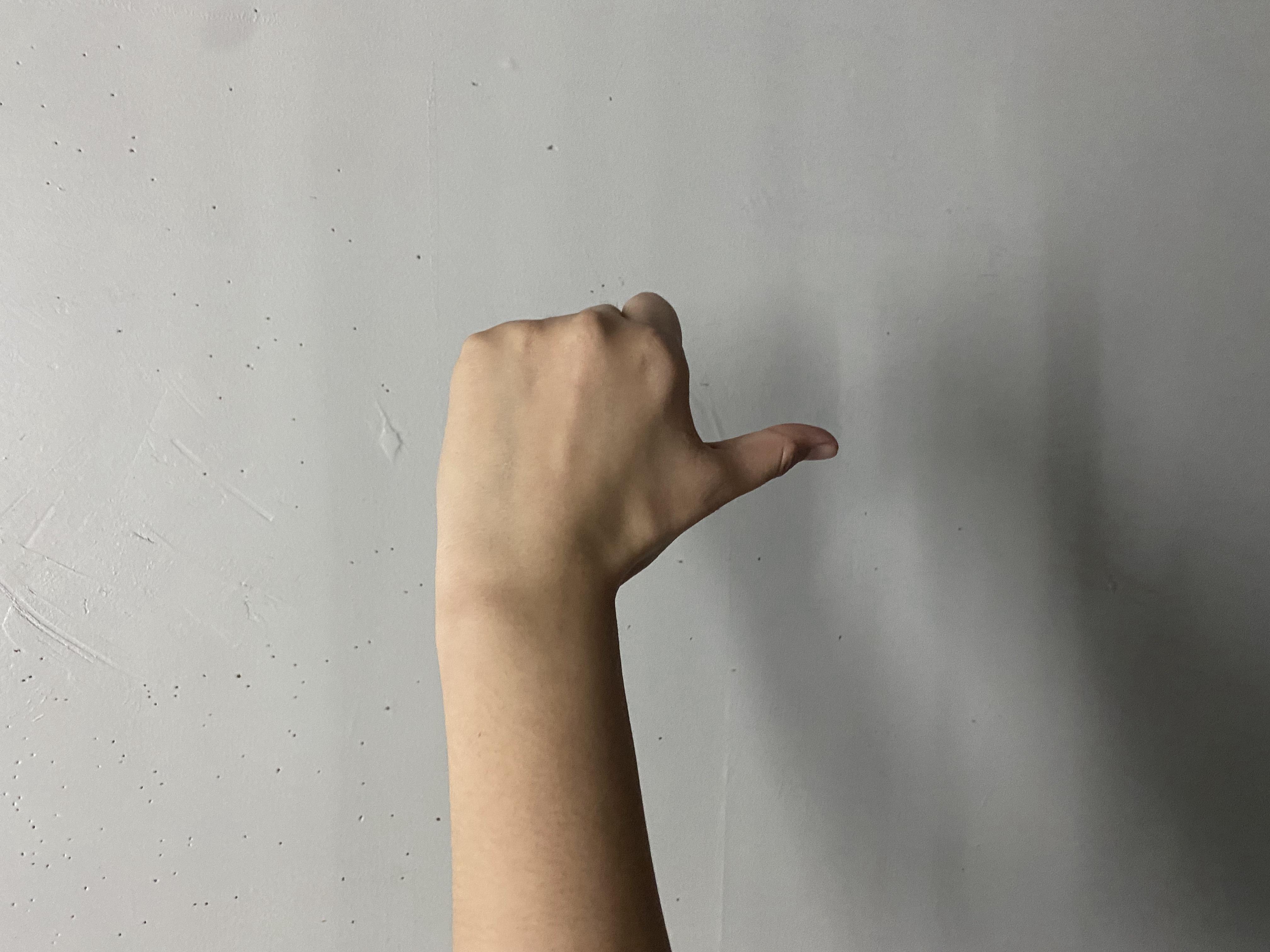 gesture Object Detection Dataset by robodetect