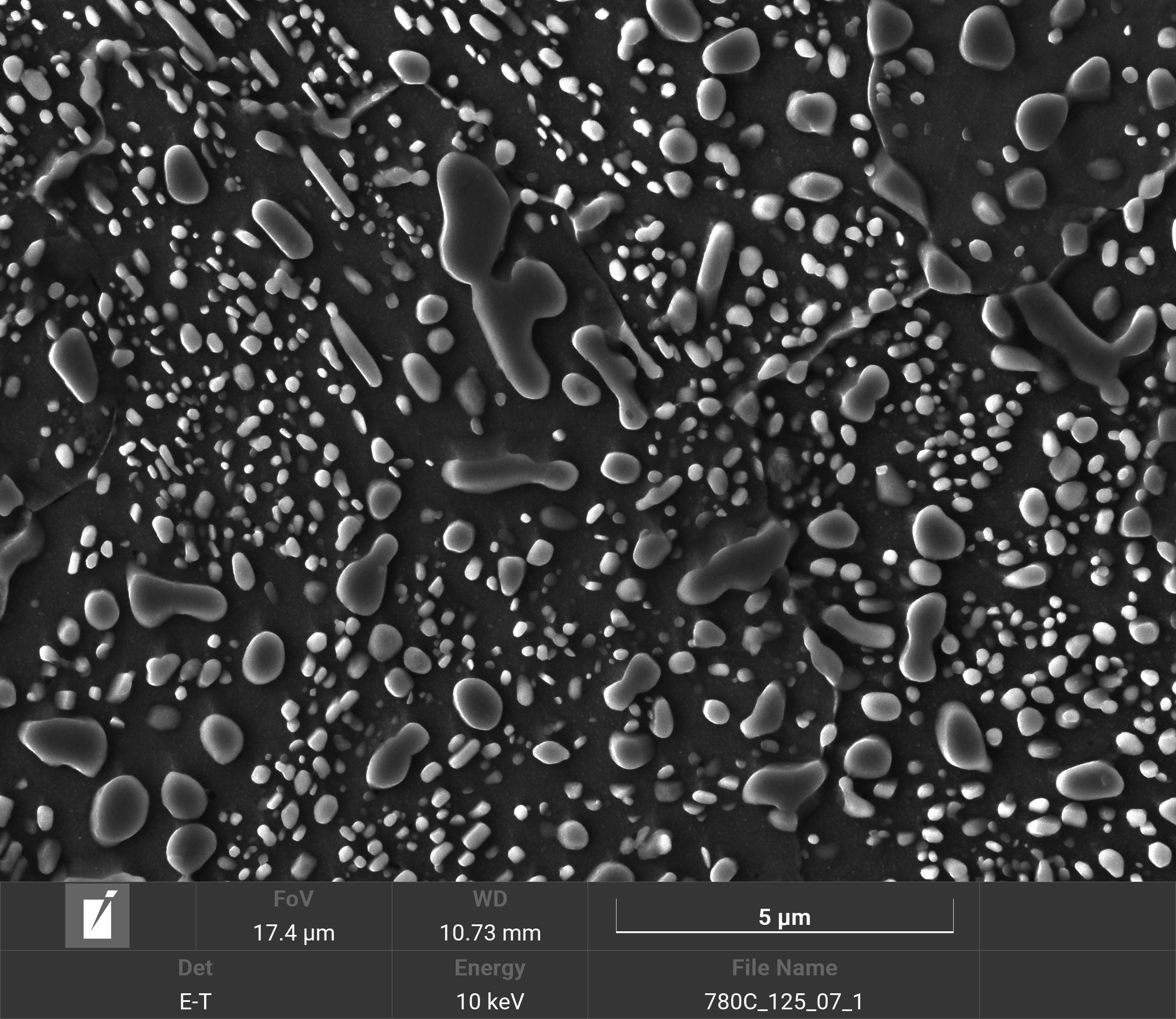 SEM (sem-uqsqw) - Roboflow Universe