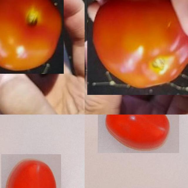 Tomato Disease Detection Object Detection Dataset And Pre Trained Model