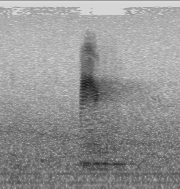 soundbirddetection Object Detection Dataset by ta