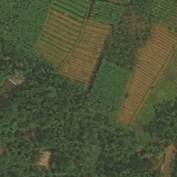 Segmentação Instance Segmentation Dataset by datasets