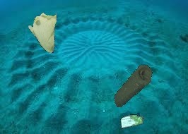 Underwater Object Detection Object Detection Model by Project