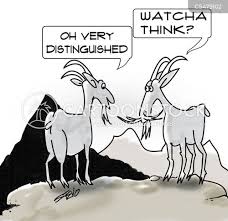 goats_annotation Object Detection Dataset by tatmantech