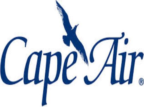 cape air Object Detection Dataset by scratch