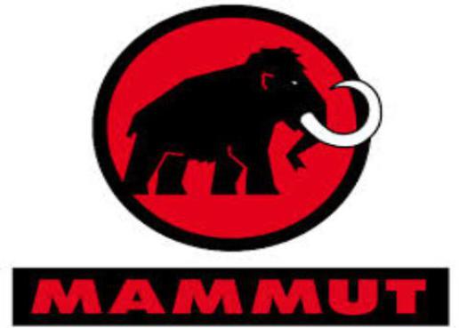 mammut Object Detection Dataset by scratch