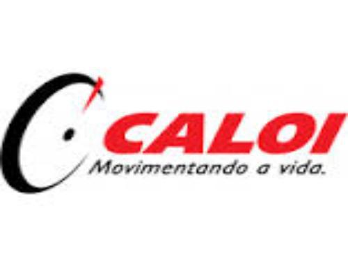 Caloi Object Detection Dataset by scratch