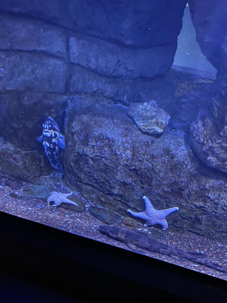 Vision Task (vision-task-416vg) - Roboflow Universe