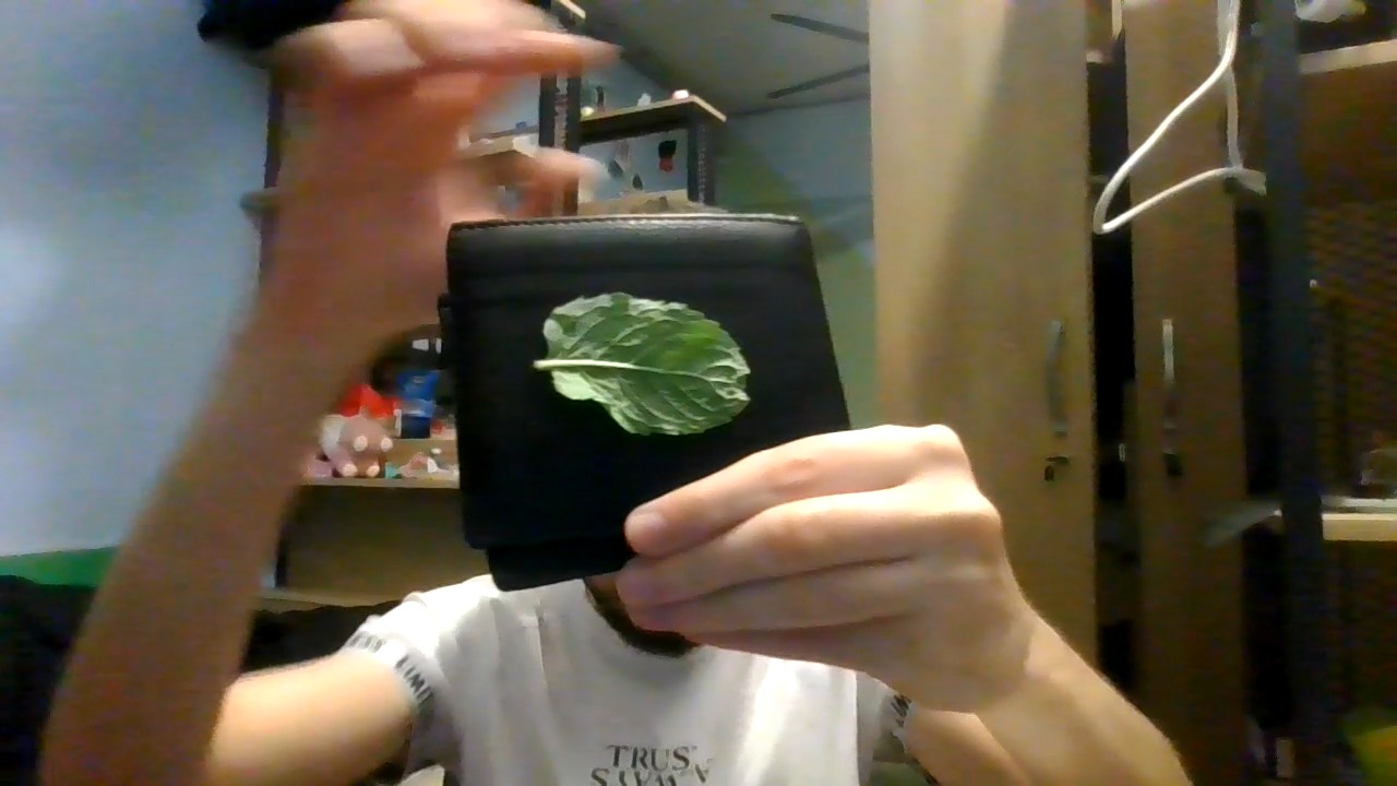 mint leaf measurement 4 Object Detection Model by mint lead measurement