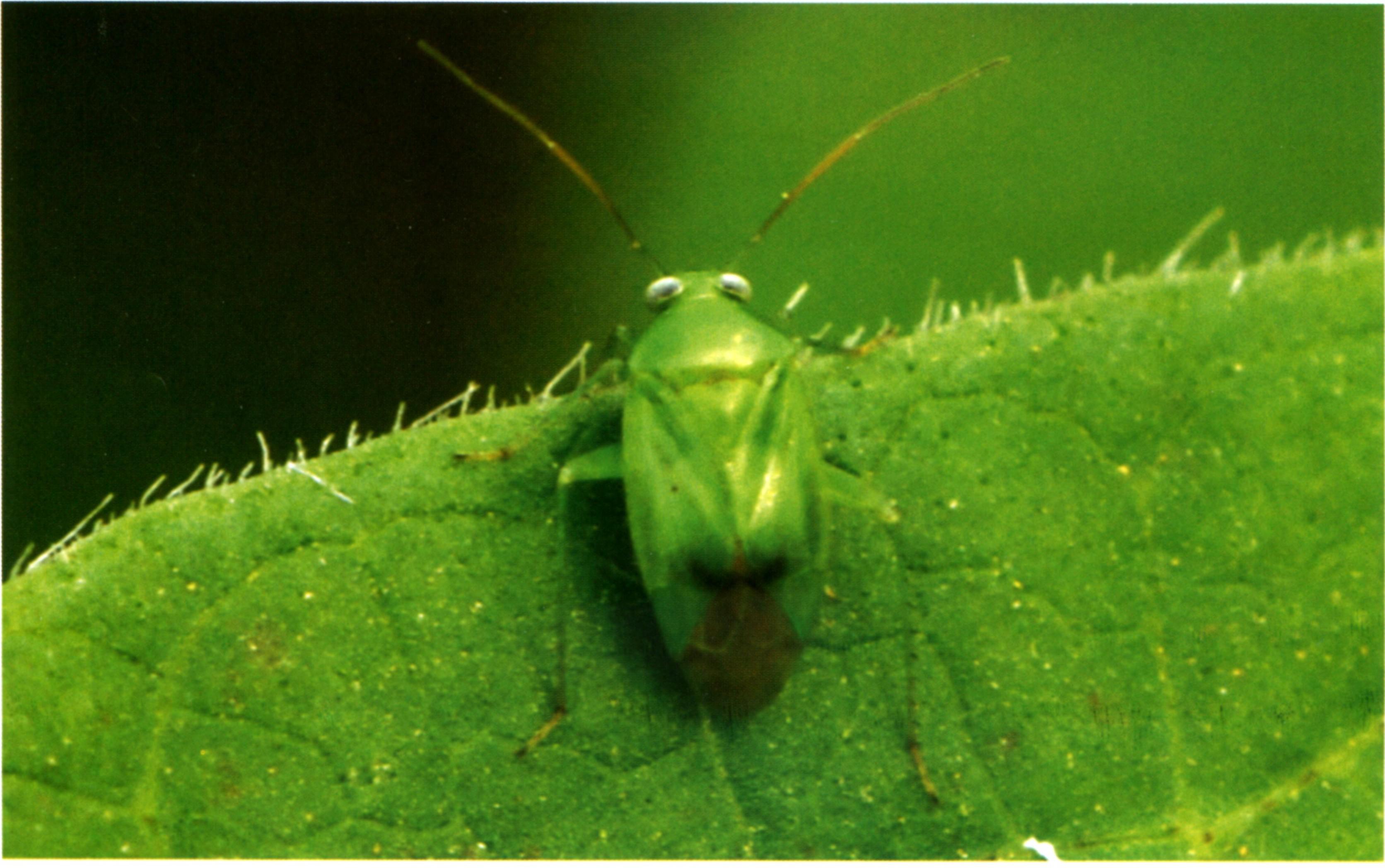 train_part1 Object Detection Dataset by train