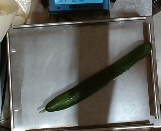 Cucumber Object Detection Dataset By Milanone