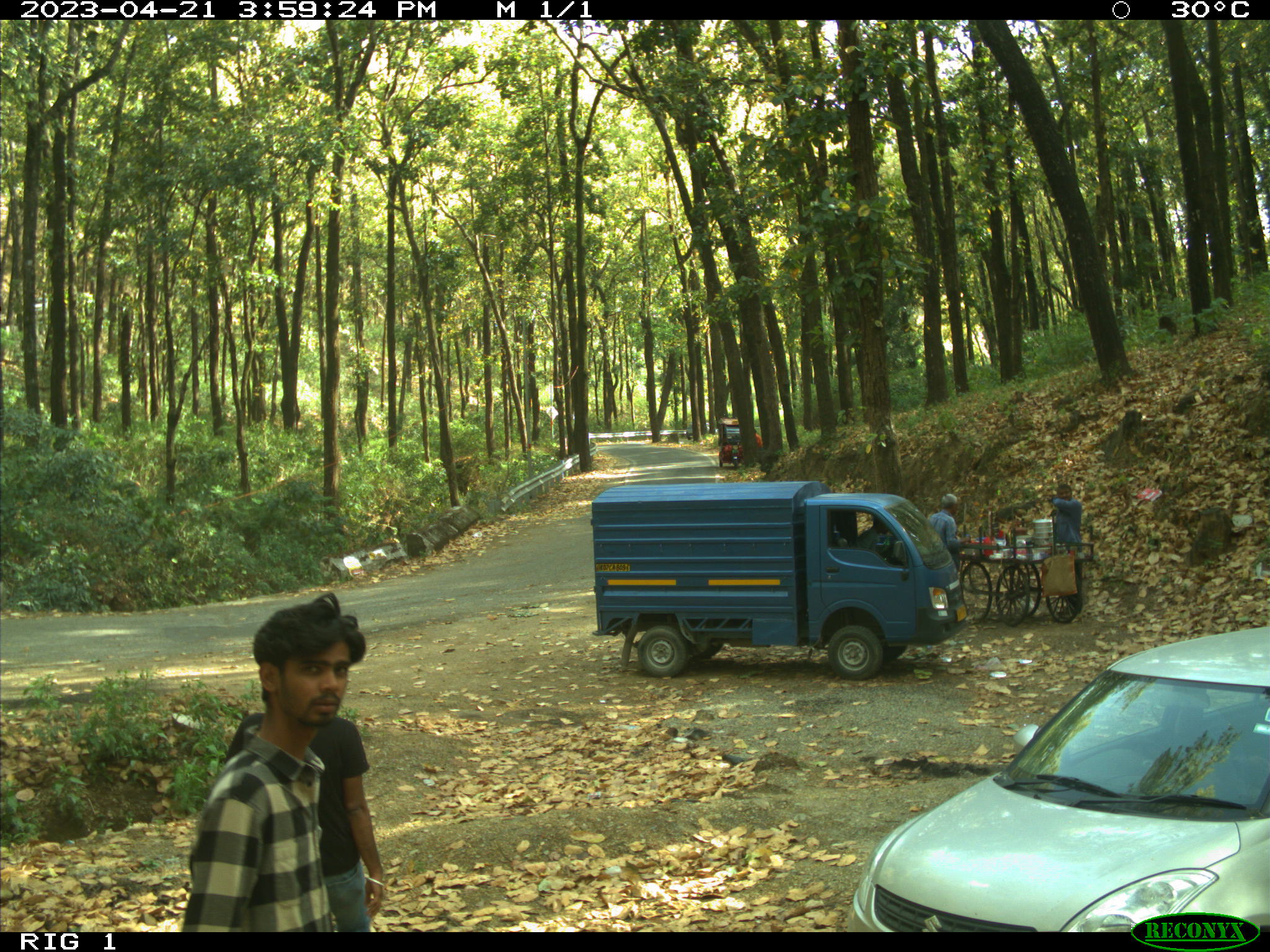 smart forests Object Detection Model by smart forests