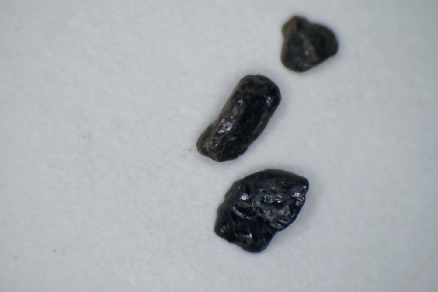 first project (first-project-qwemf) - Roboflow Universe