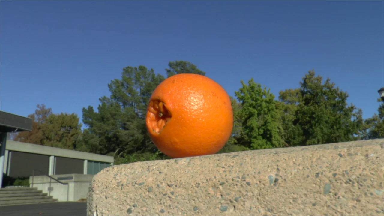 apple-oranges Object Detection Dataset by iiserb